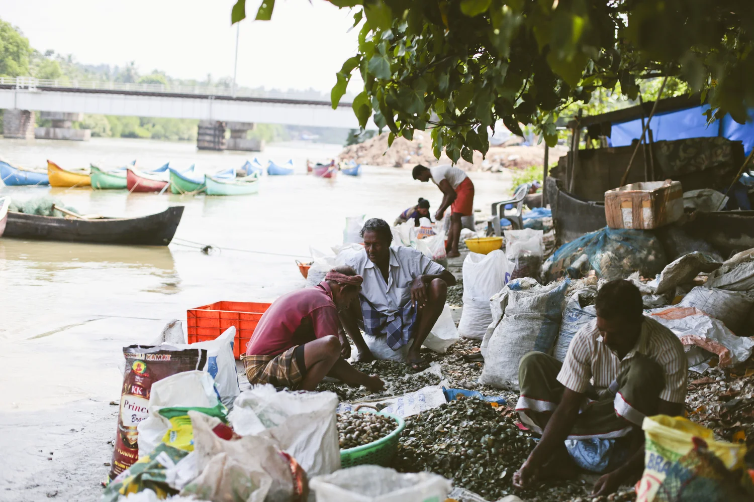 Goya is a food and media company located in India — GOYA