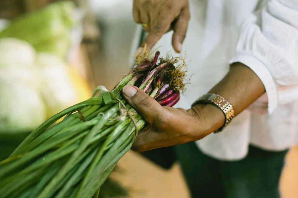How to Pick the Freshest Vegetables at the Market — GOYA