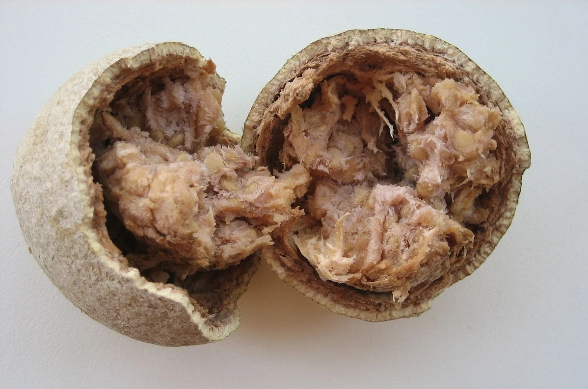 8 Native Indian Fruits You Didn't Know About — GOYA