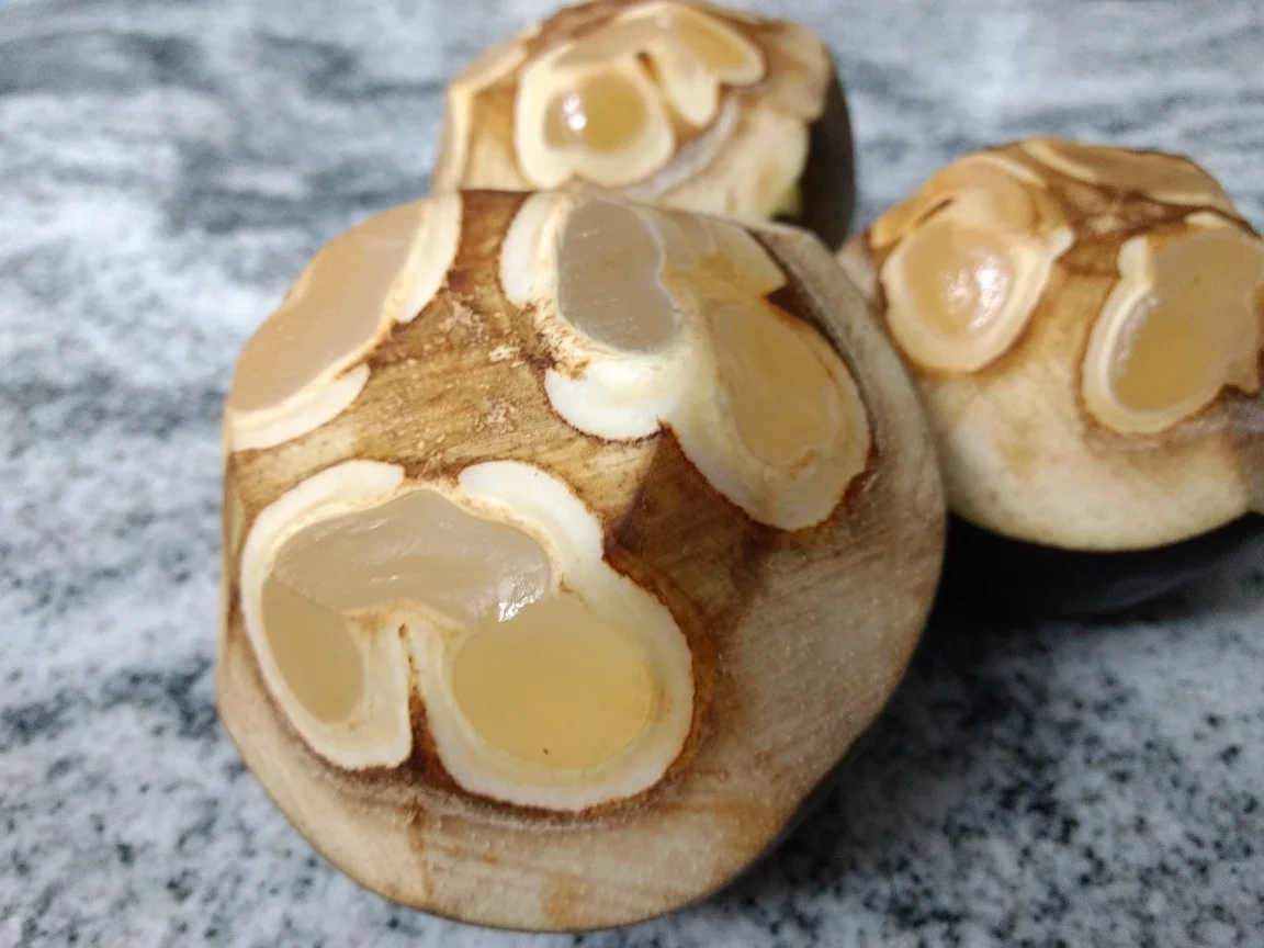 8 Native Indian Fruits You Didn't Know About — GOYA