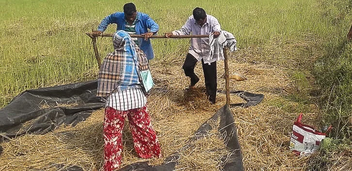 Goa's Last Living Khazans — GOYA