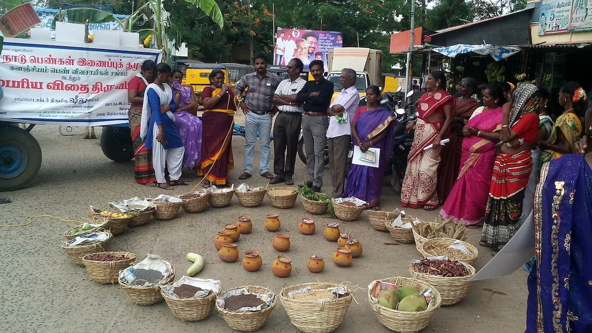In Tamil Nadu, Women Sustain the Revival the Millet — GOYA