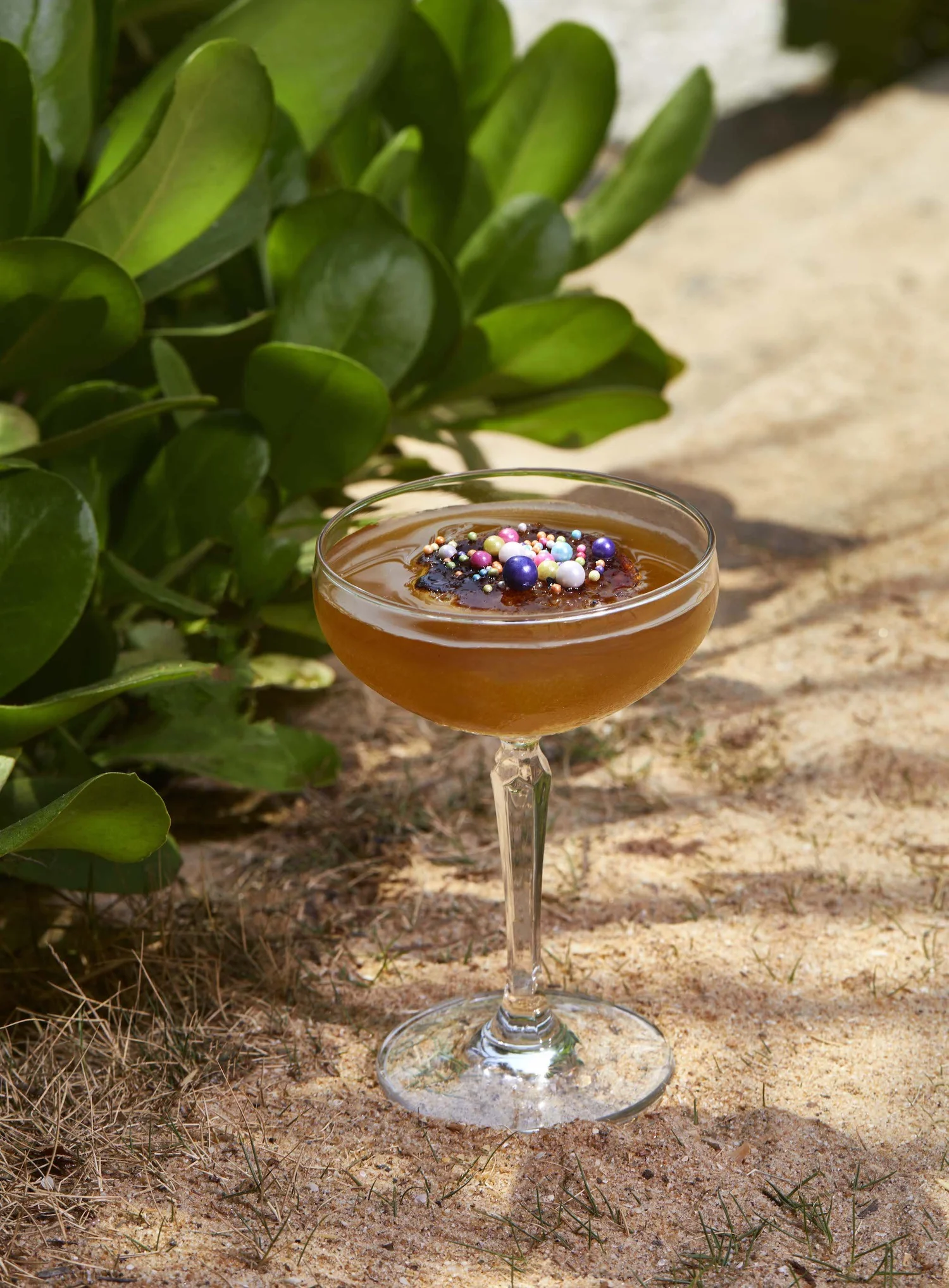 The Restaurant Roundup: Dhamaka, Veronica & the Vault Home Bar Festival ...