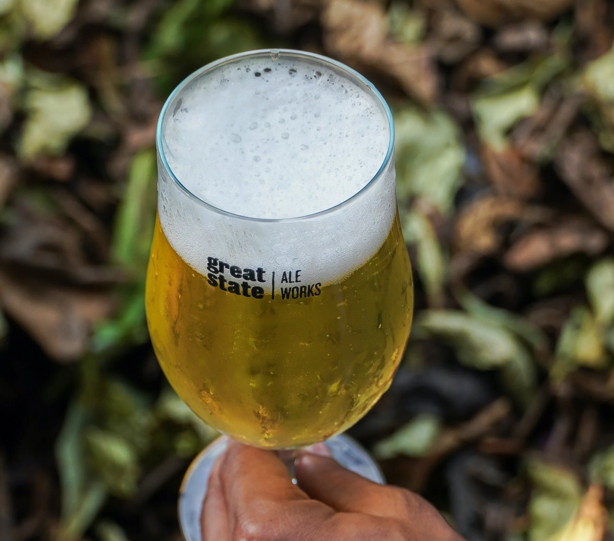 GOYA | Recipes, Stories & Food