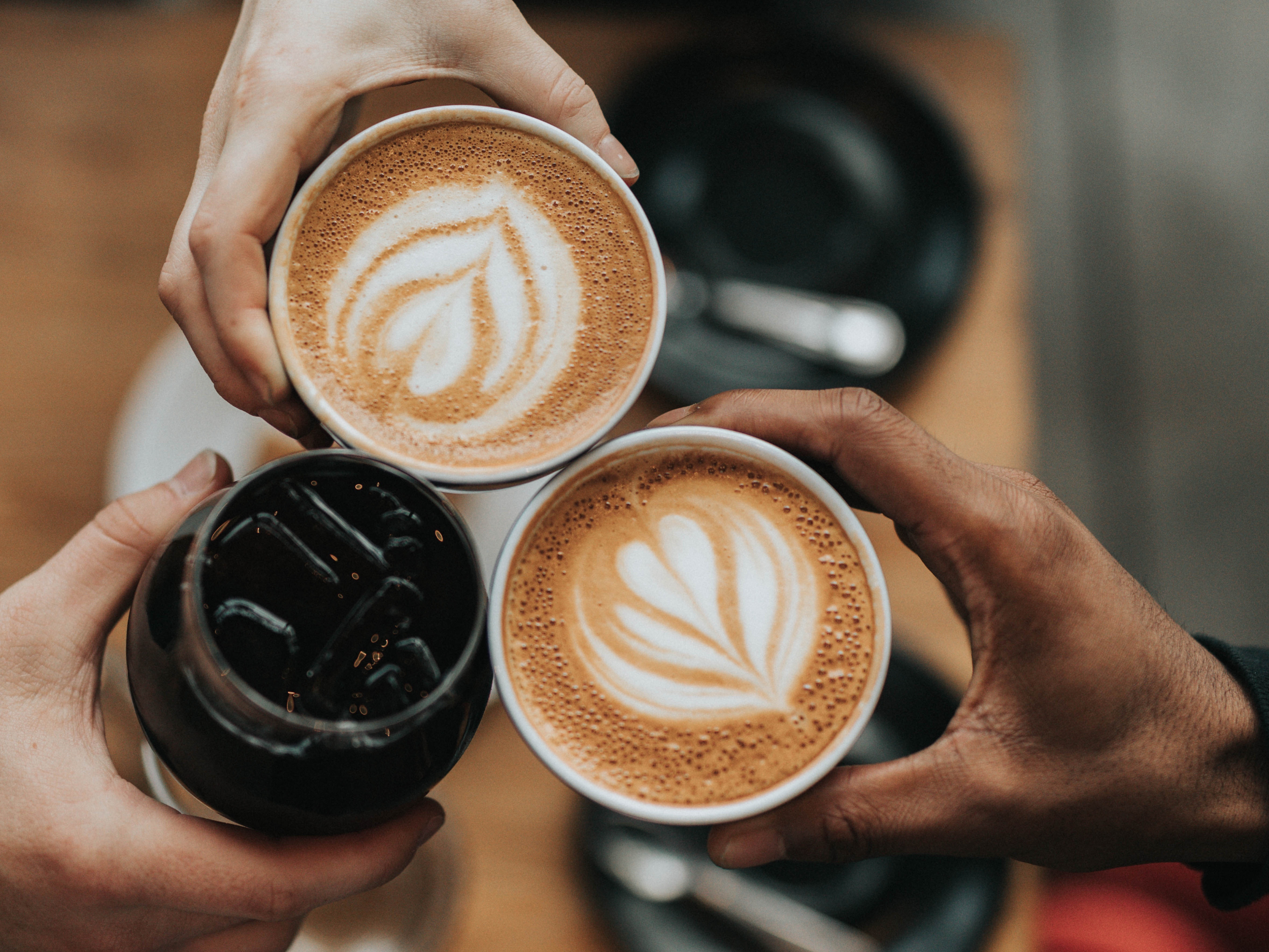 How Did Chicory Become the Villain in our Coffee? — GOYA