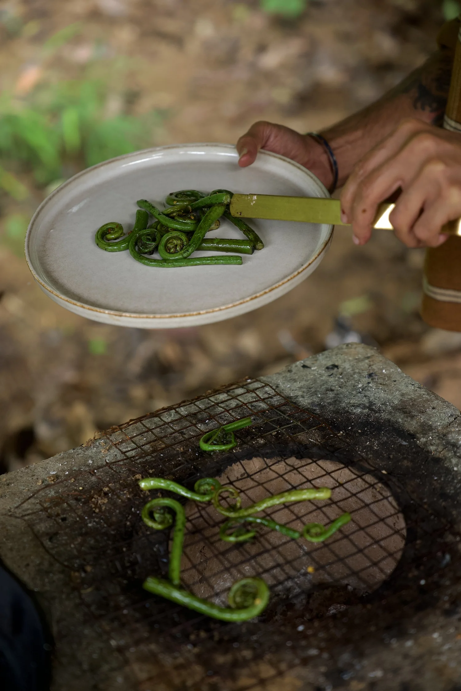 A Beginner's Guide to Sustainably Foraging Fiddlehead Ferns in ...