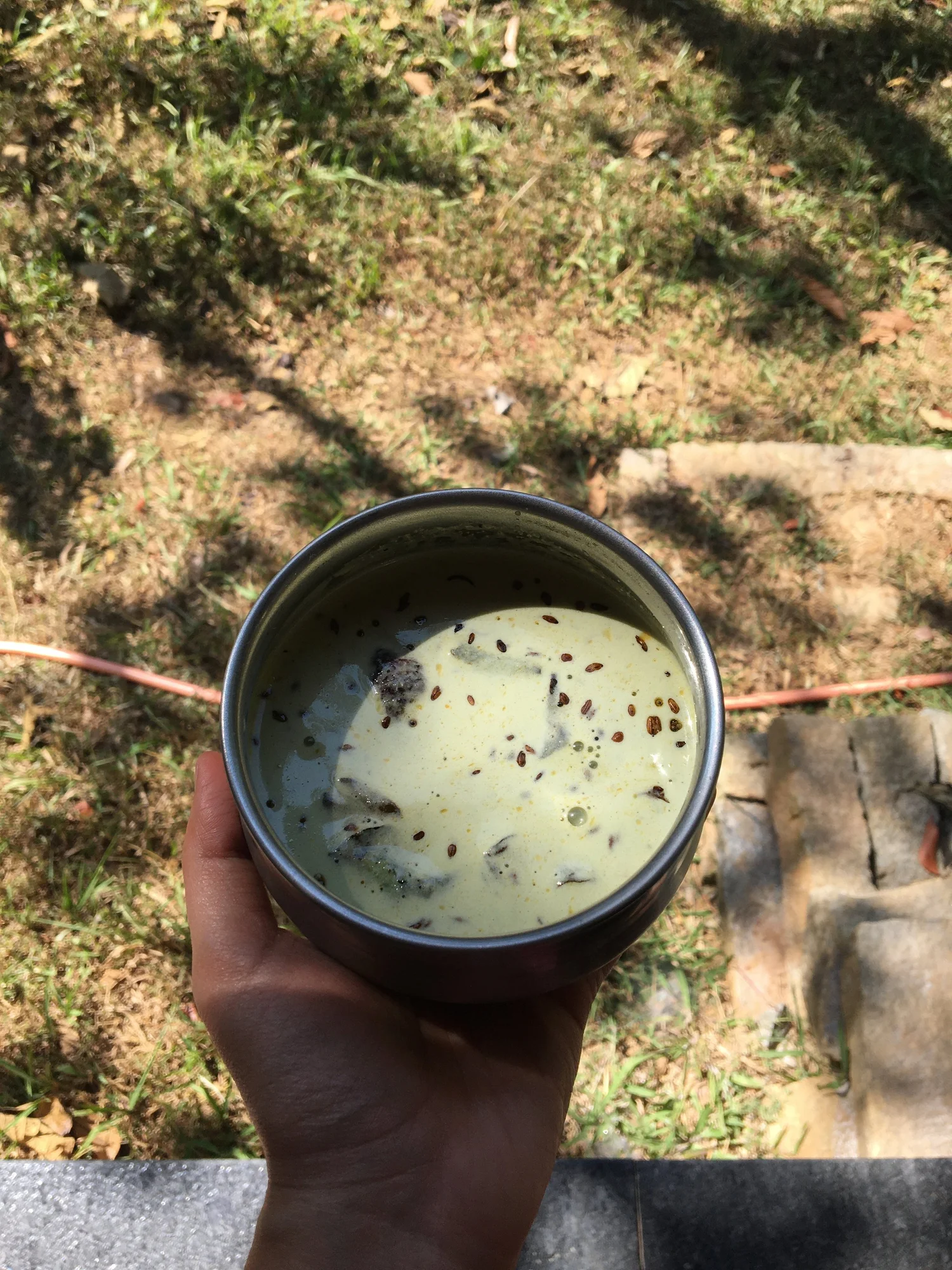 Wild Edible Wonders: Tambuli in Koppa Preserves a Unique Culinary ...