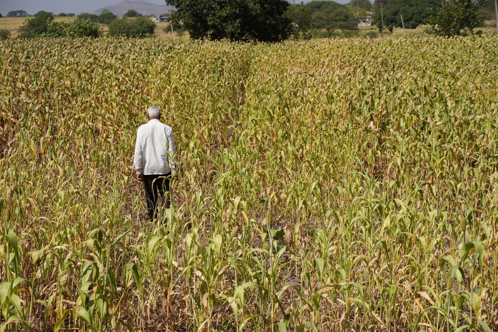 Behind the Scenes of India's First 100% Millet Beer — GOYA