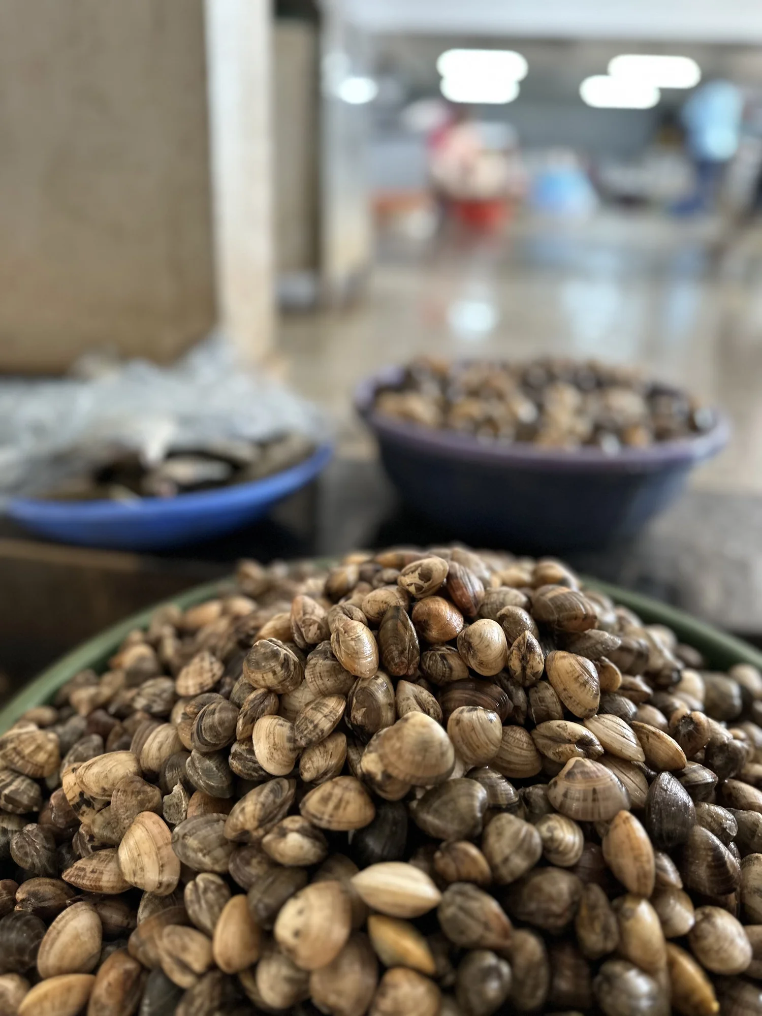 Walk Through this South-Goa Market With Chef Pallavi | GOYA — GOYA