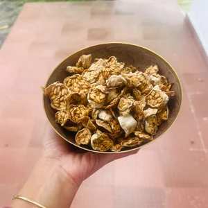 Kachri Mirch: The Wild Melon That Feeds the Desert — GOYA