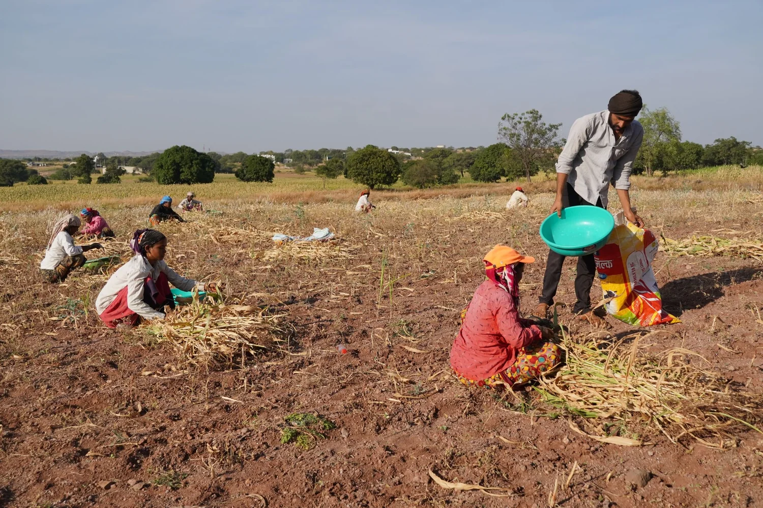 Behind the Scenes of India's First 100% Millet Beer — GOYA