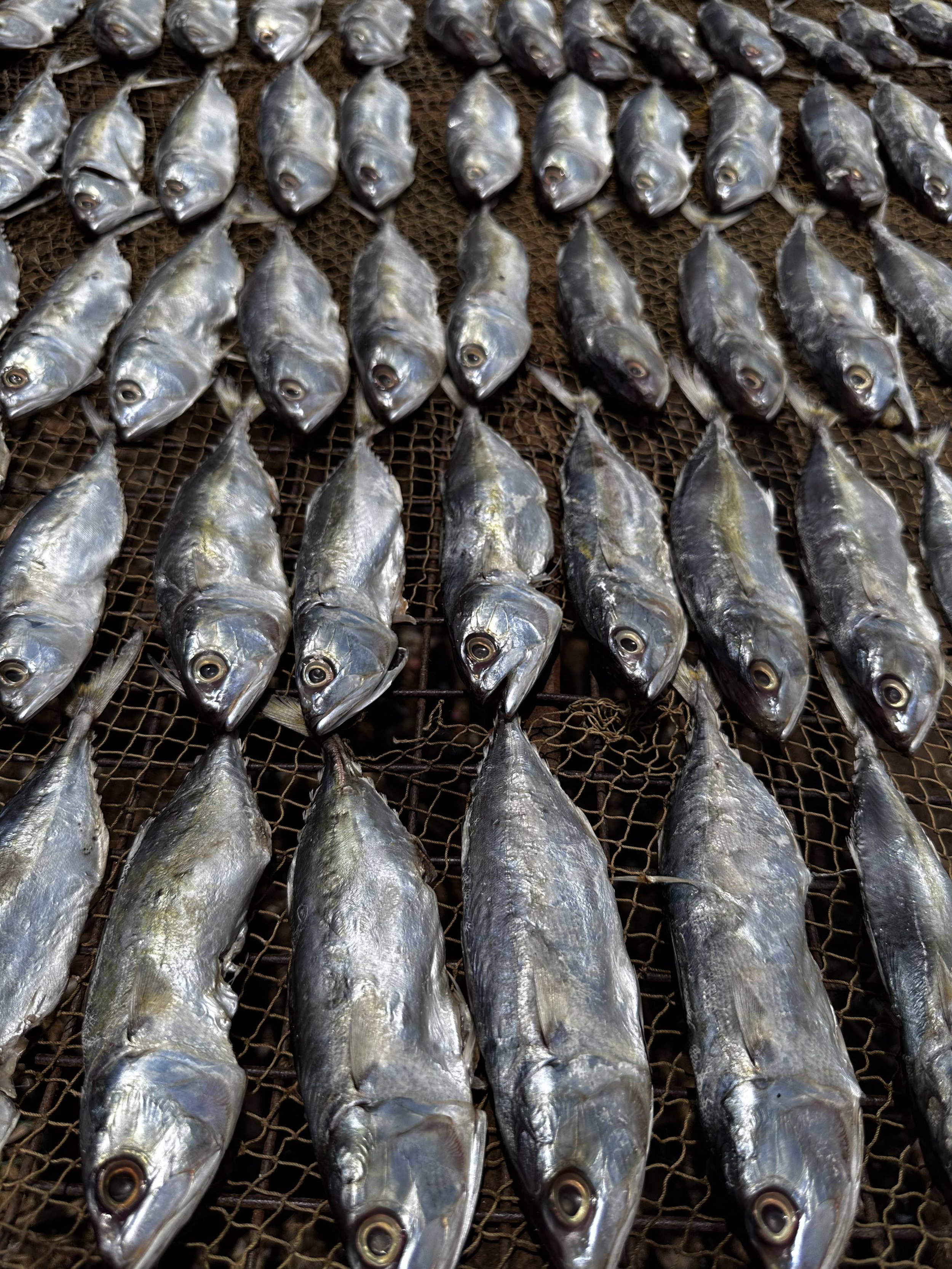 Walk Through this South-Goa Market With Chef Pallavi | GOYA — GOYA