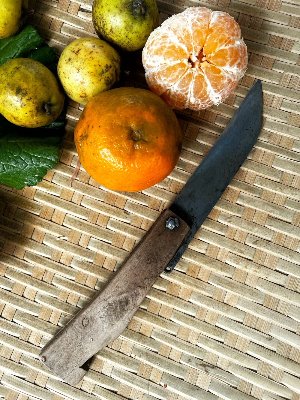 Soh Khleh: A Fragrant Khasi Fruit Salad with Citrus and Mustard — GOYA