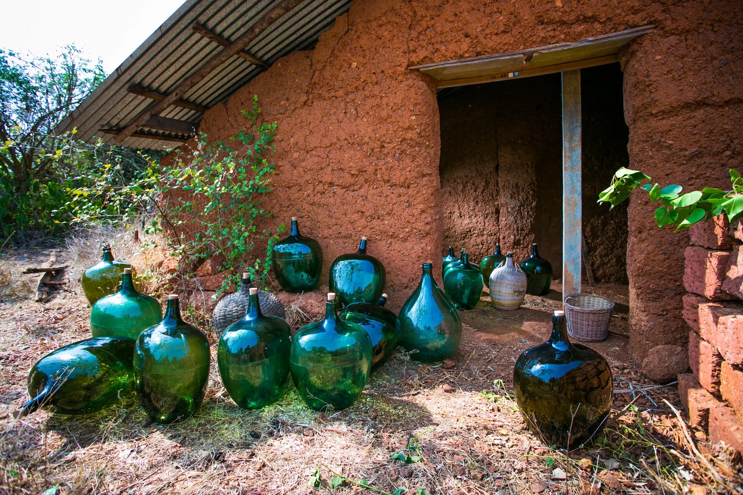 Hansel Vaz, the man taking Goan Feni to the World — GOYA