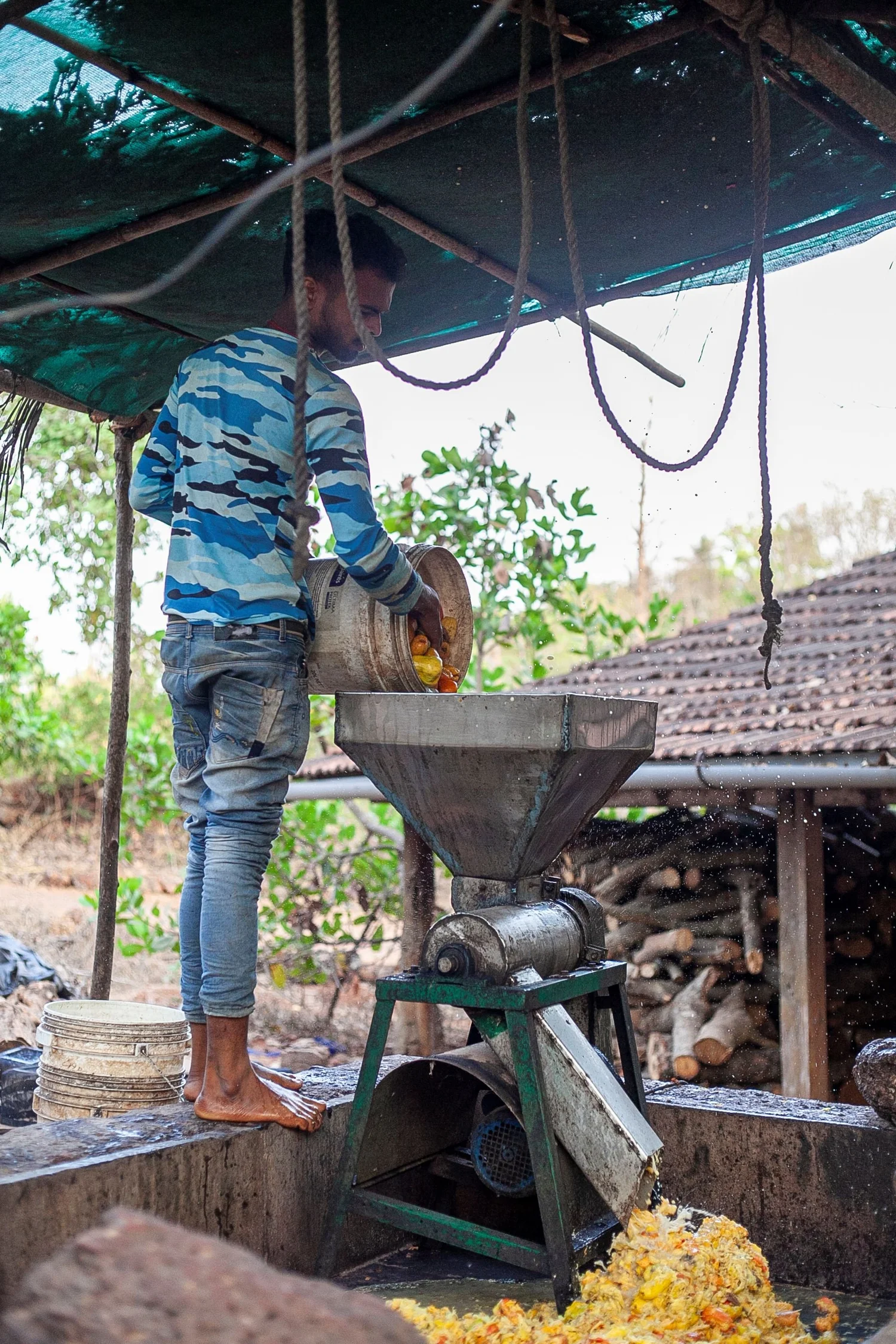 The Making of Goa's Jungle Juice, Urraca — GOYA