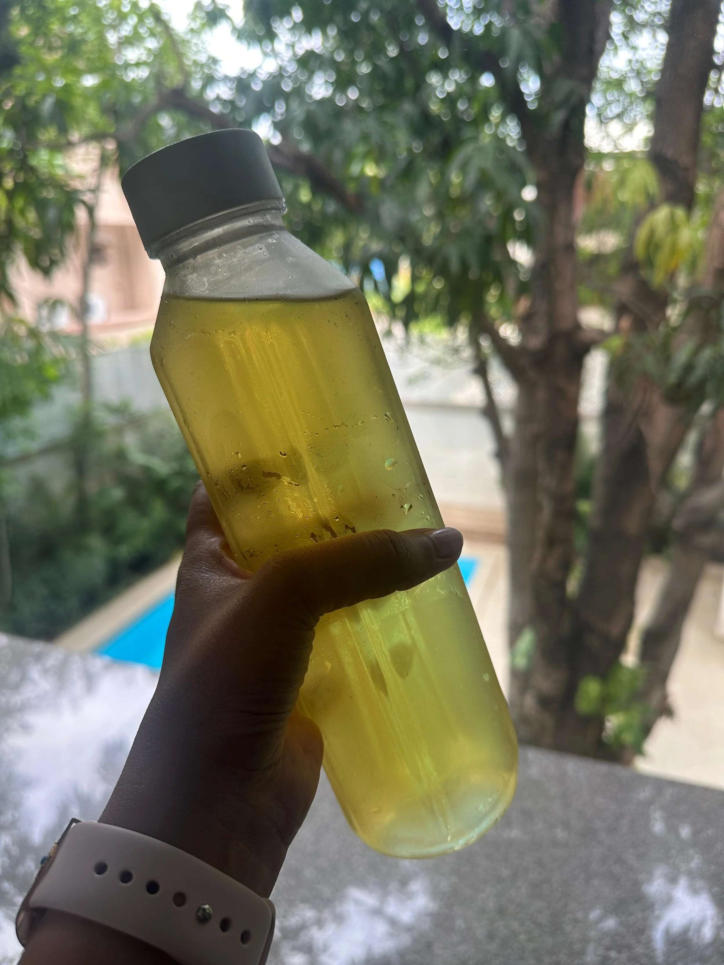 A Mogra Sharbat Recipe That Comes with a 70-Year Legacy — GOYA