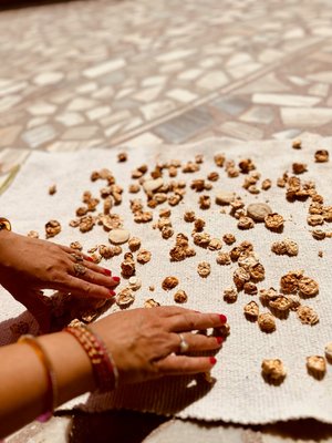 Kachri Mirch: The Wild Melon That Feeds the Desert — GOYA