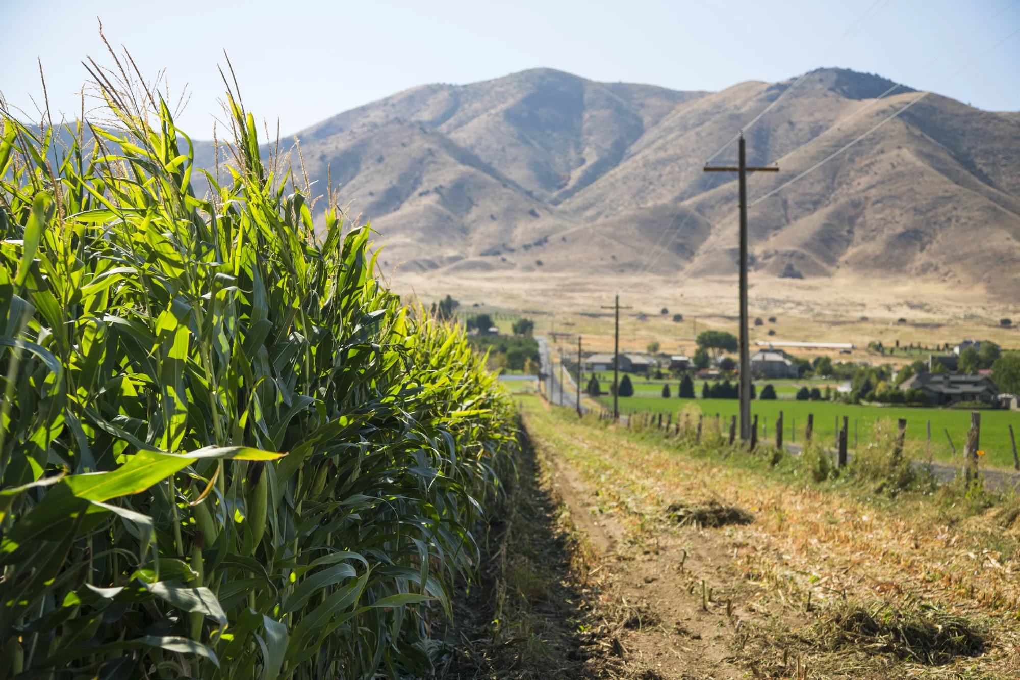 Learn More — Utah Agriculture Toolbox