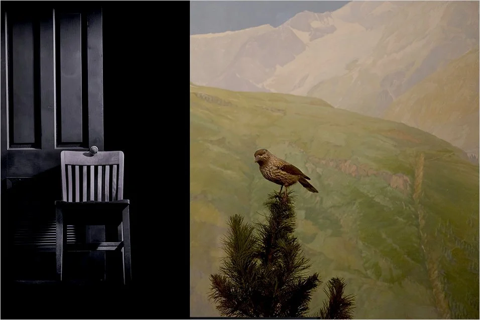 Photographic Arts Council Los Angeles