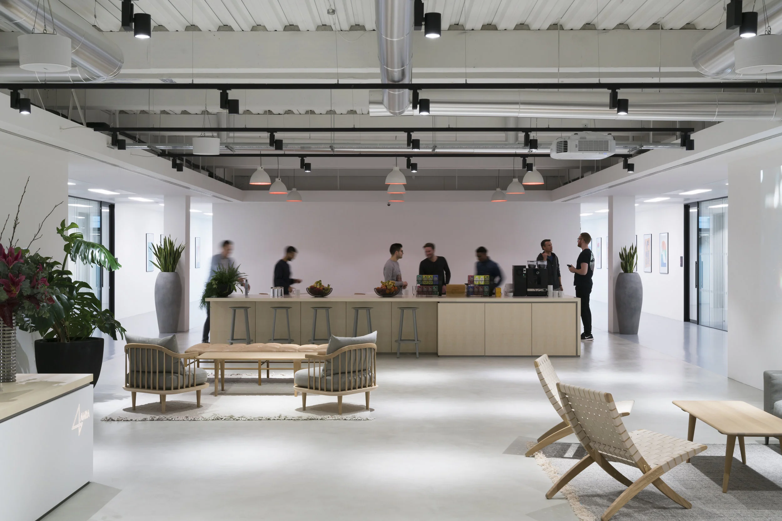 BDG architecture + design