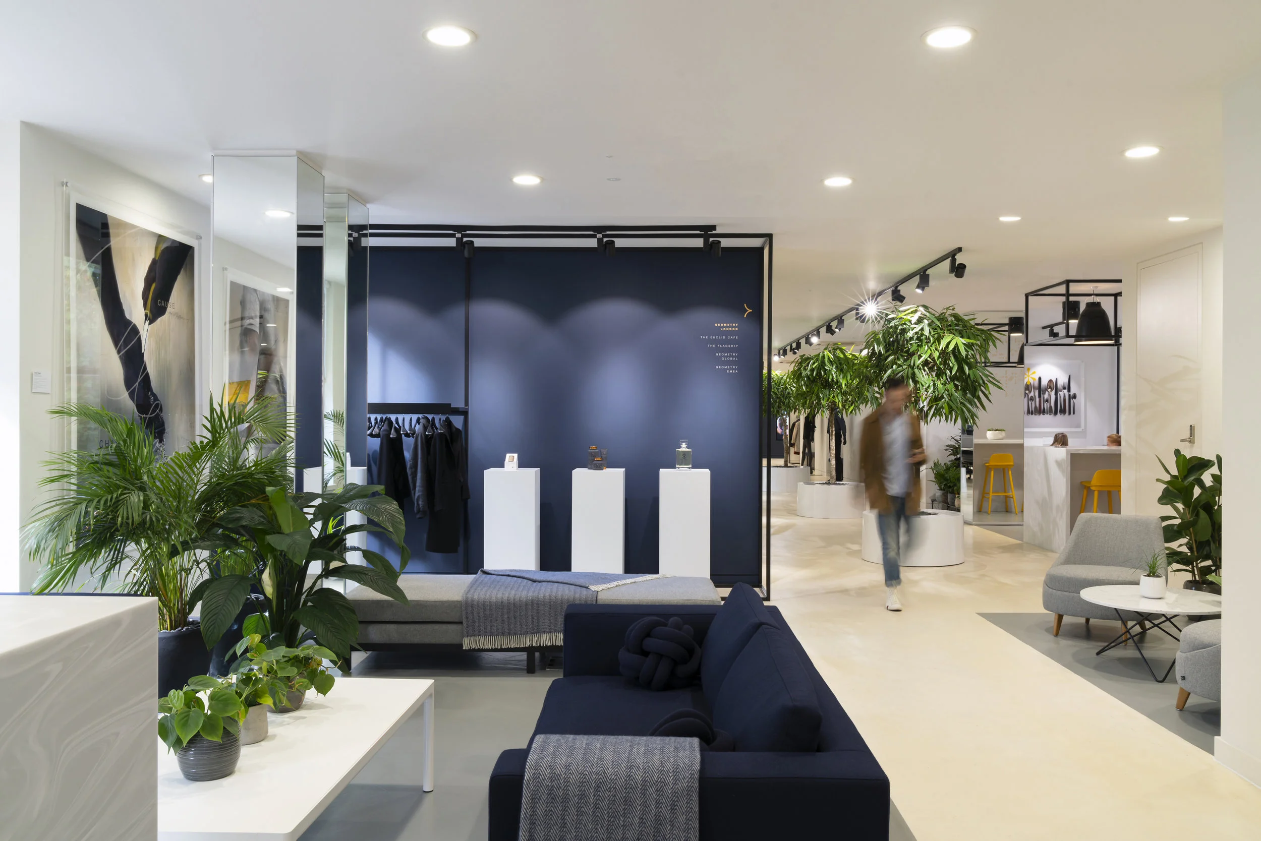 BDG architecture + design