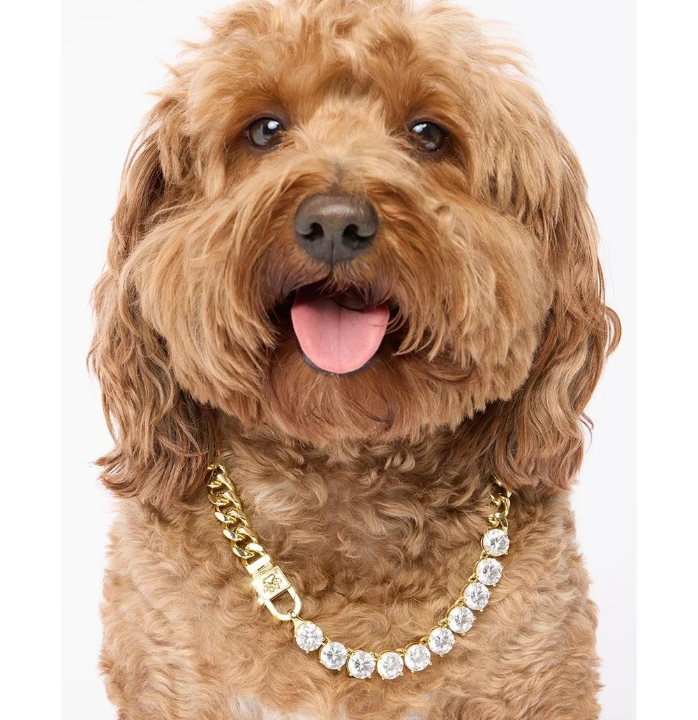 Melinda Maria : MM Pets Collection — Glitz and Glam by Tiff - Fashion ...