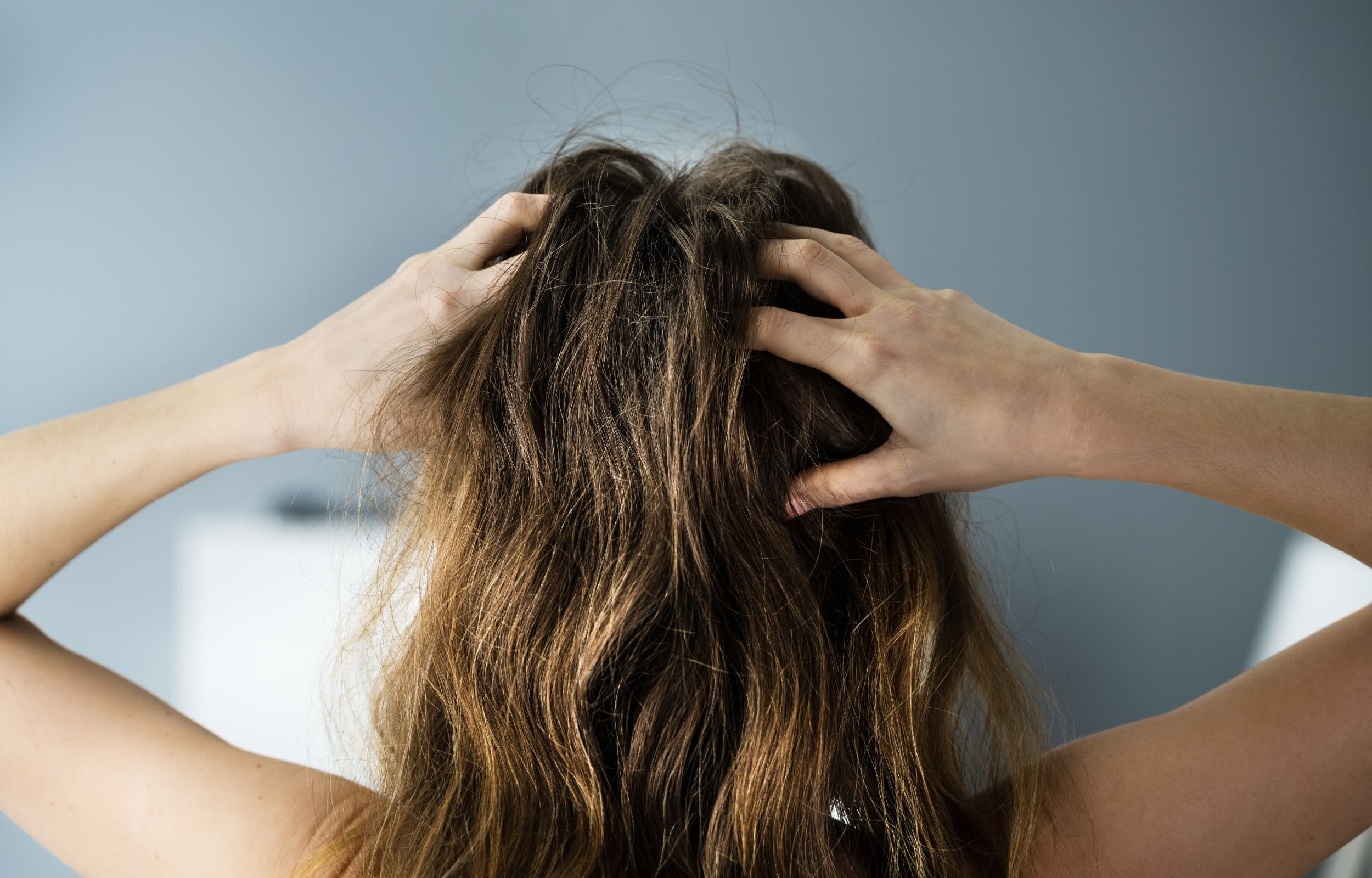 The Reasons Why Your Hair Is Dry and Brittle — Glitz and Glam by Tiff ...