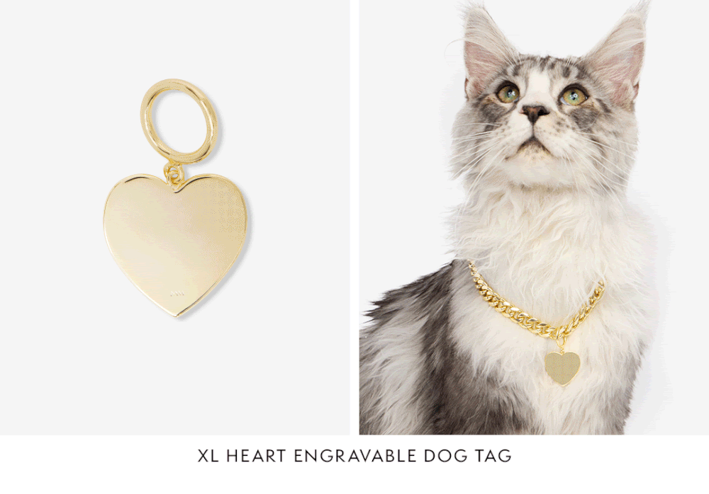 Melinda Maria : MM Pets Collection — Glitz and Glam by Tiff - Fashion ...