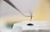 How To Correctly Dip Lash Extensions Into Glue — Glitz and Glam by Tiff ...