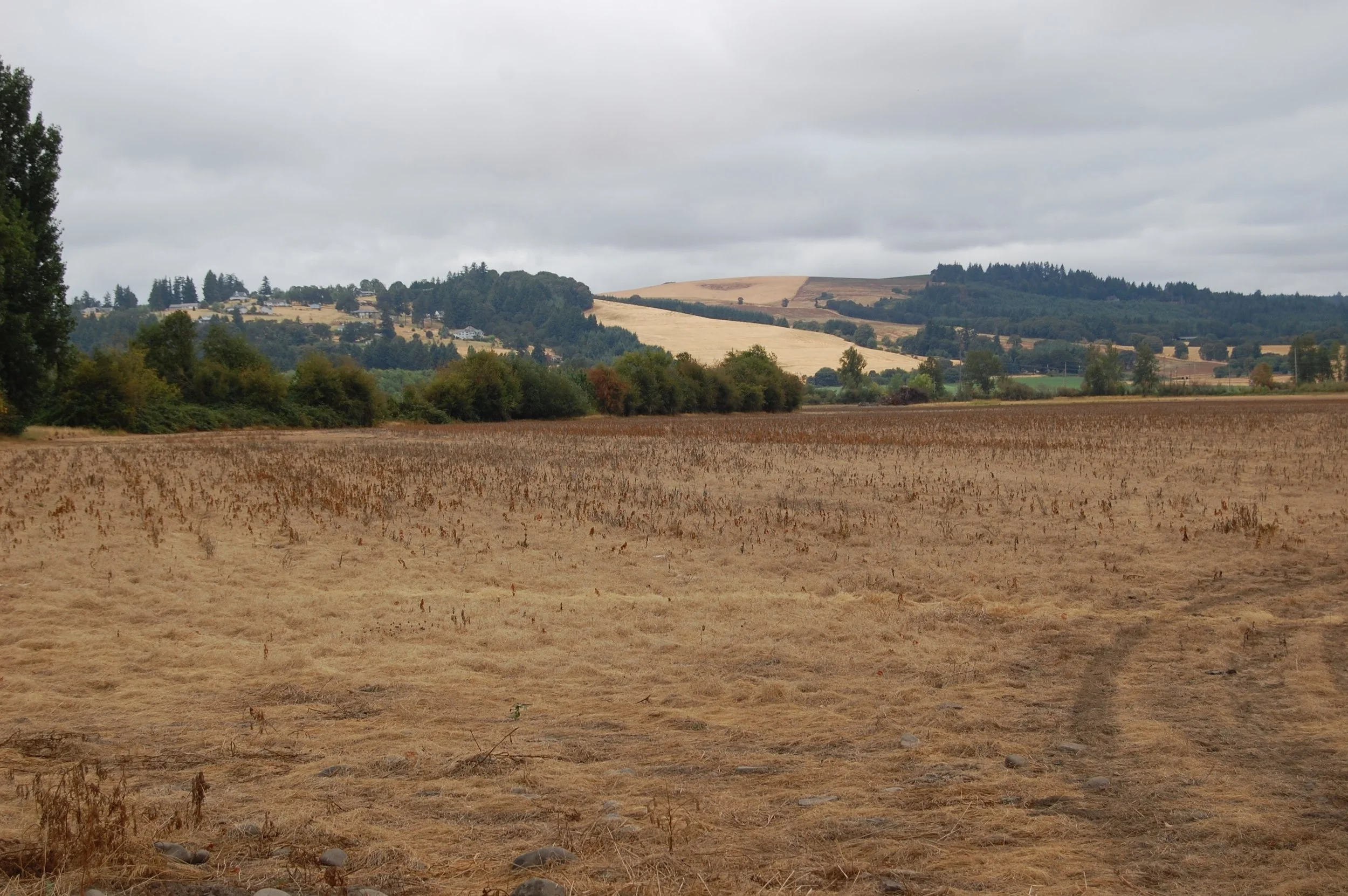 Wetland Projects — Santiam Valley Ranch, LLC