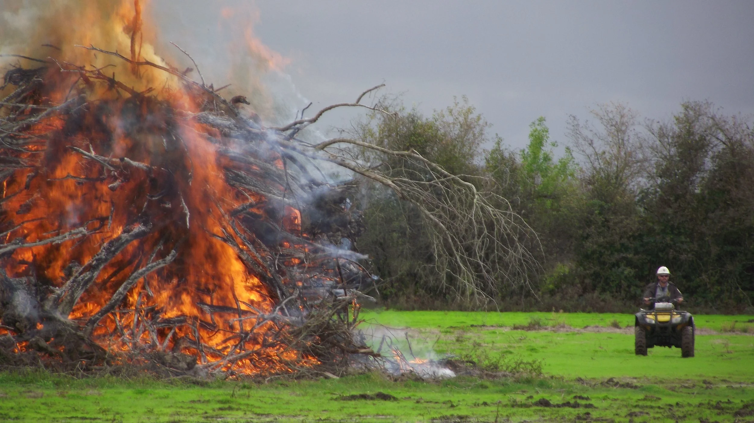 Wetland Projects — Santiam Valley Ranch, LLC