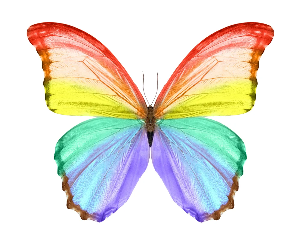 Bitten by the Pride bug - A Pride Month reflection by OTN Co-Chair ...