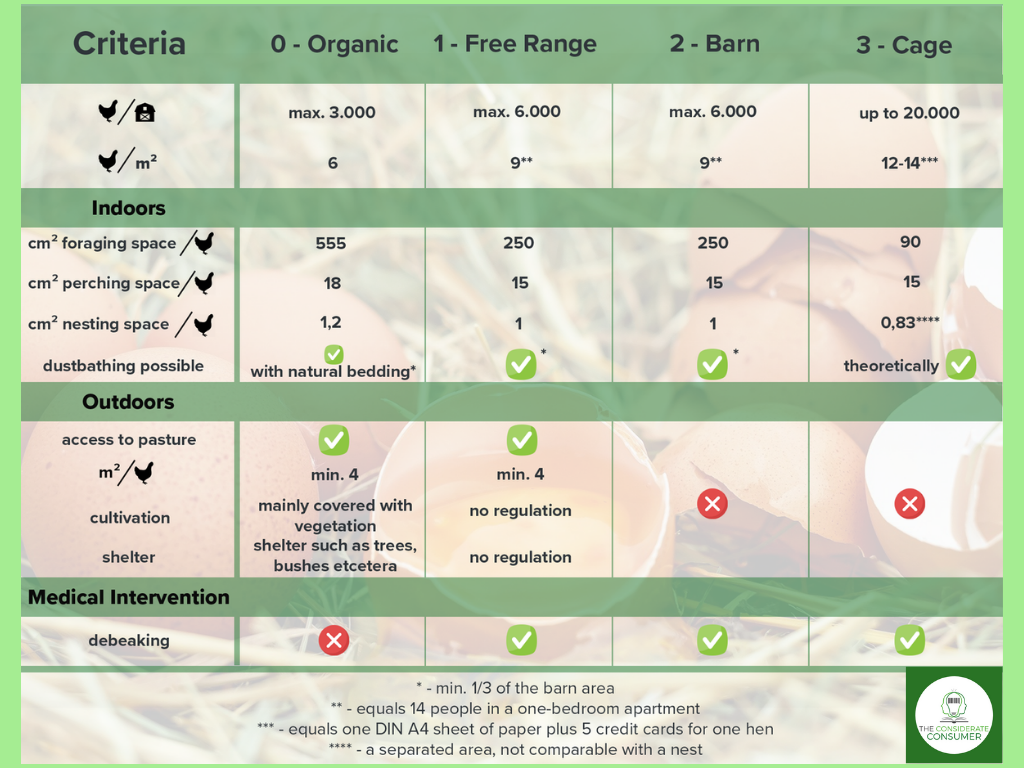 Sustainable Egg Consumption — The Considerate Consumer
