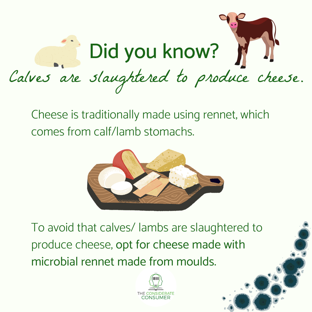 Sustainable Milk & Dairy Consumption — The Considerate Consumer