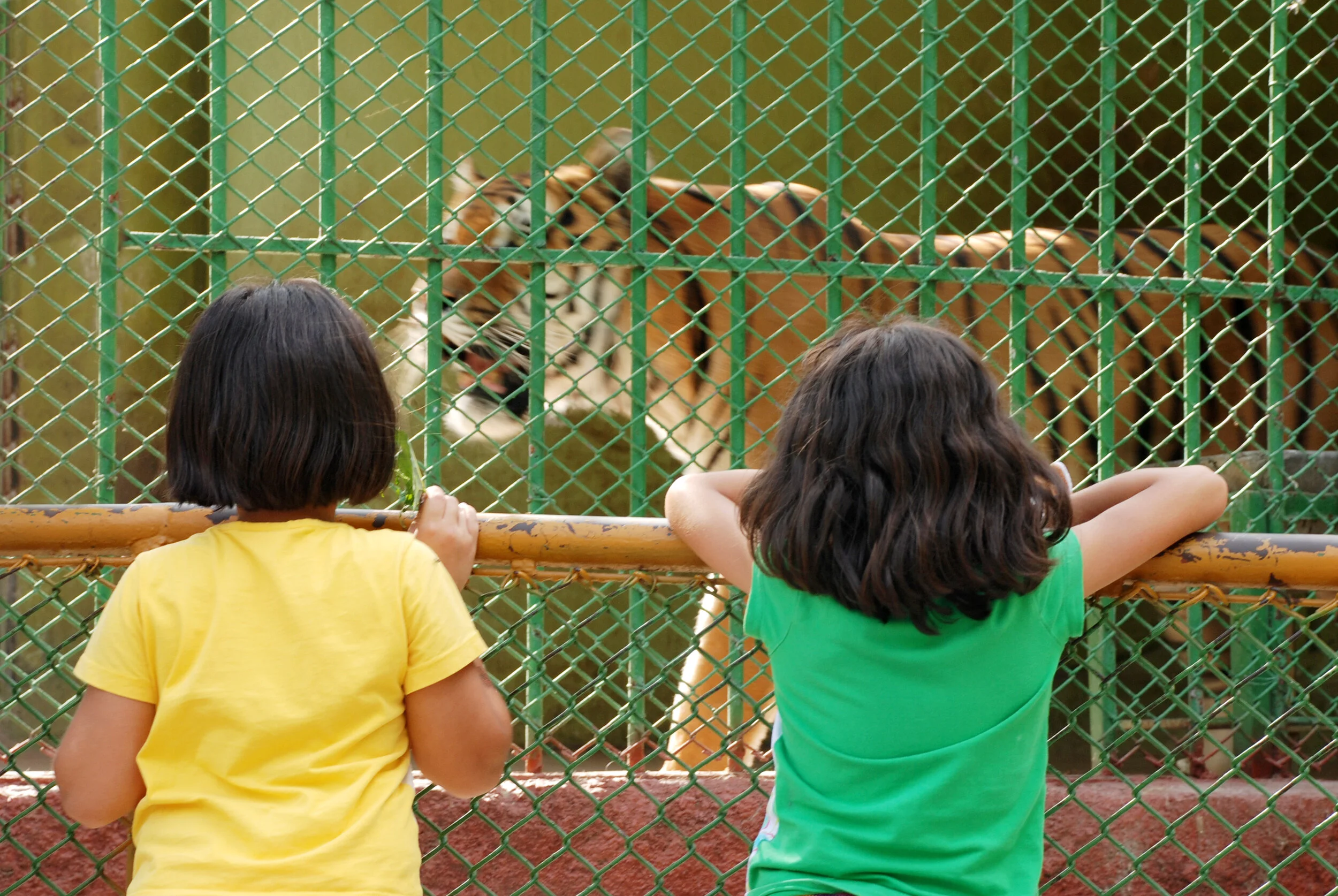The Challenge of Using Wildlife for Human Entertainment — The ...