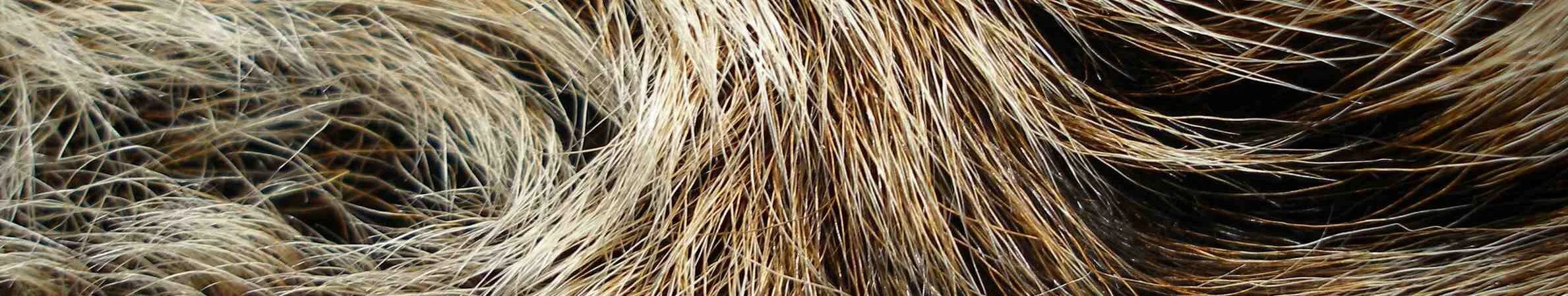 Cruelty-free Fashion - Animal-friendly Clothing Options — The ...