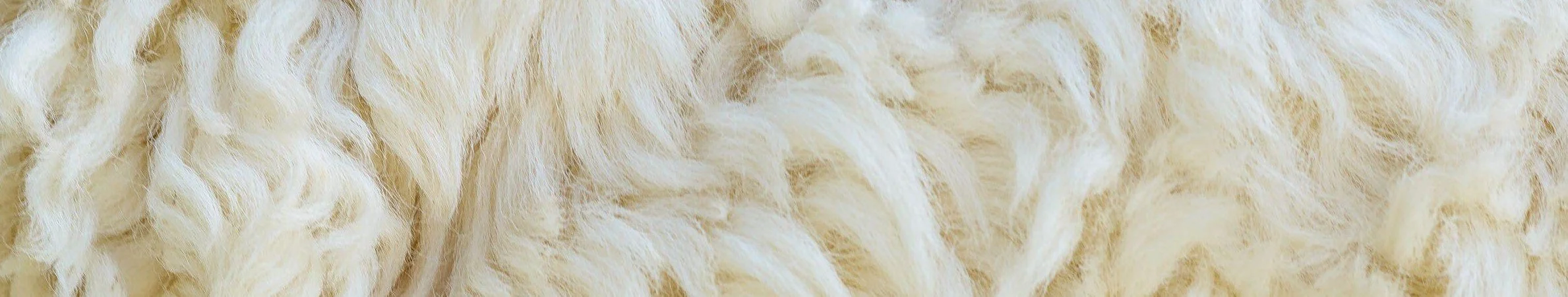 Cruelty-free Fashion - Animal-friendly Clothing Options — The ...