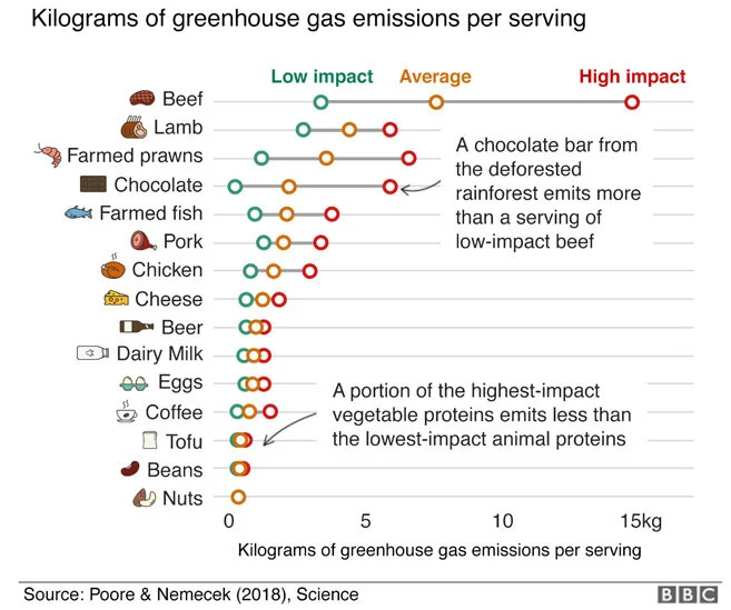 Carbon Footprint — The Considerate Consumer