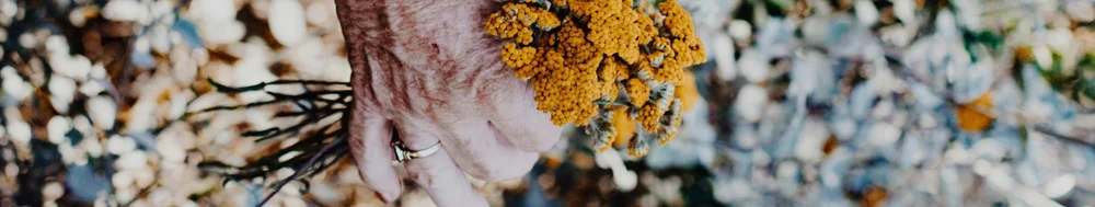 Your Guide to Sustainable Cut Flowers — The Considerate Consumer