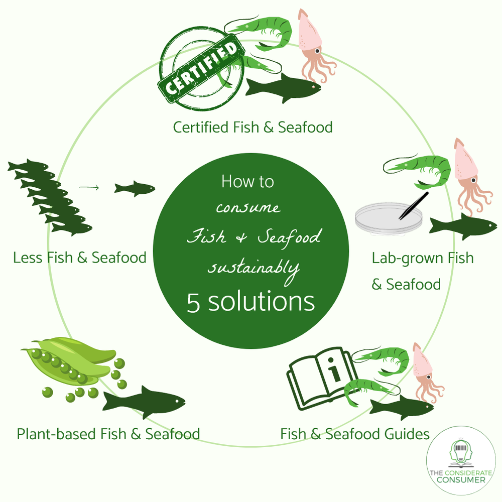 Sustainable Seafood & Fish — The Considerate Consumer