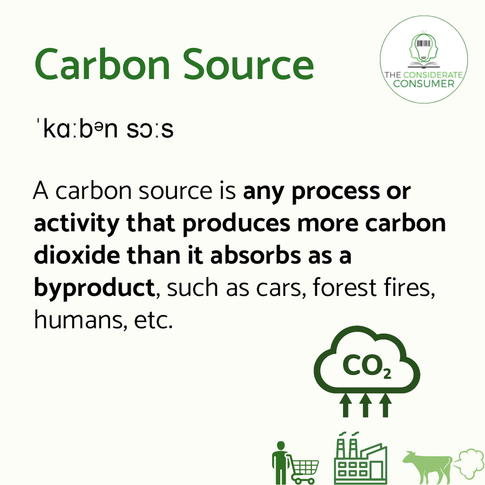 CARBON SOURCES & CARBON SINKS — The Considerate Consumer