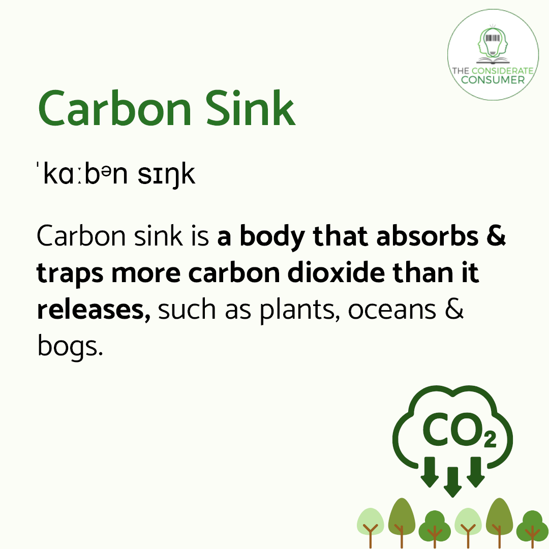 CARBON SOURCES & CARBON SINKS — The Considerate Consumer