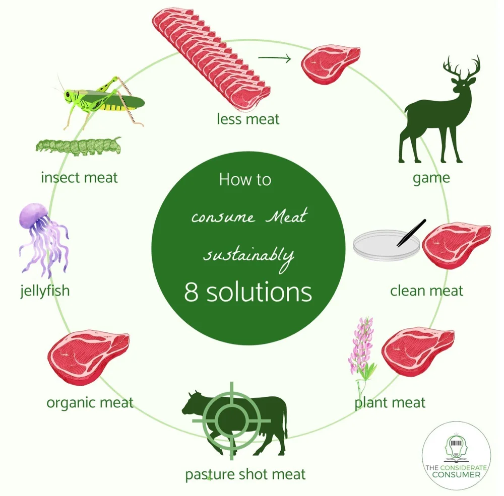 Sustainable Meat Consumption — The Considerate Consumer