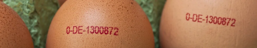 Sustainable Egg Consumption — The Considerate Consumer