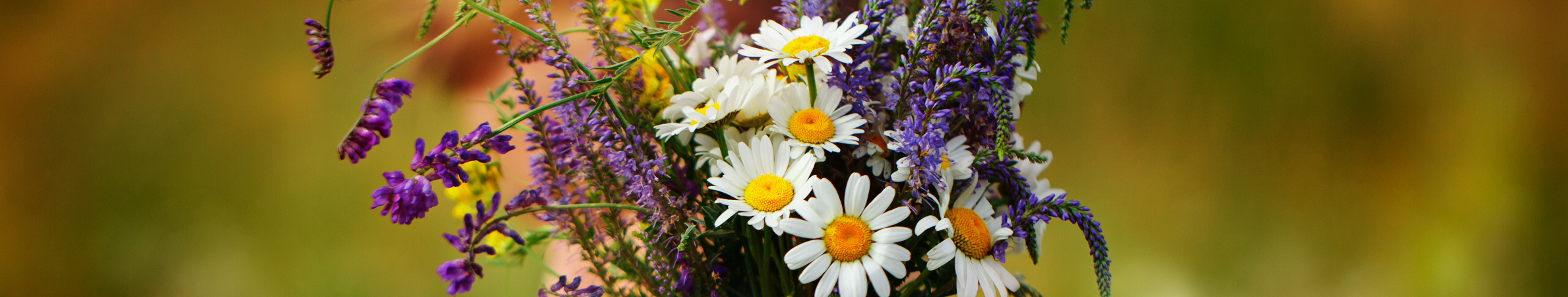 Your Guide to Sustainable Cut Flowers — The Considerate Consumer