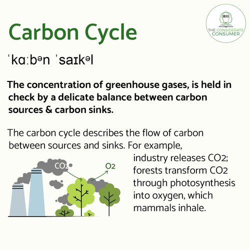 CARBON SOURCES & CARBON SINKS — The Considerate Consumer