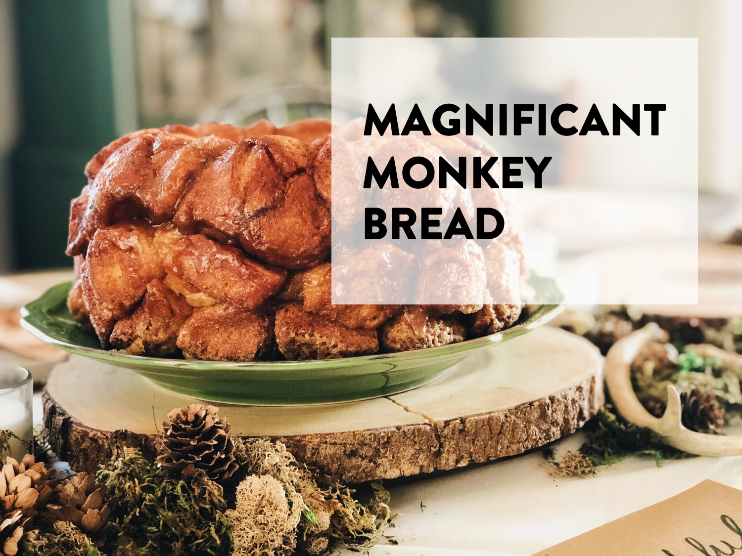 MAGNIFICENT MONKEY BREAD — JACINTHA PAYNE