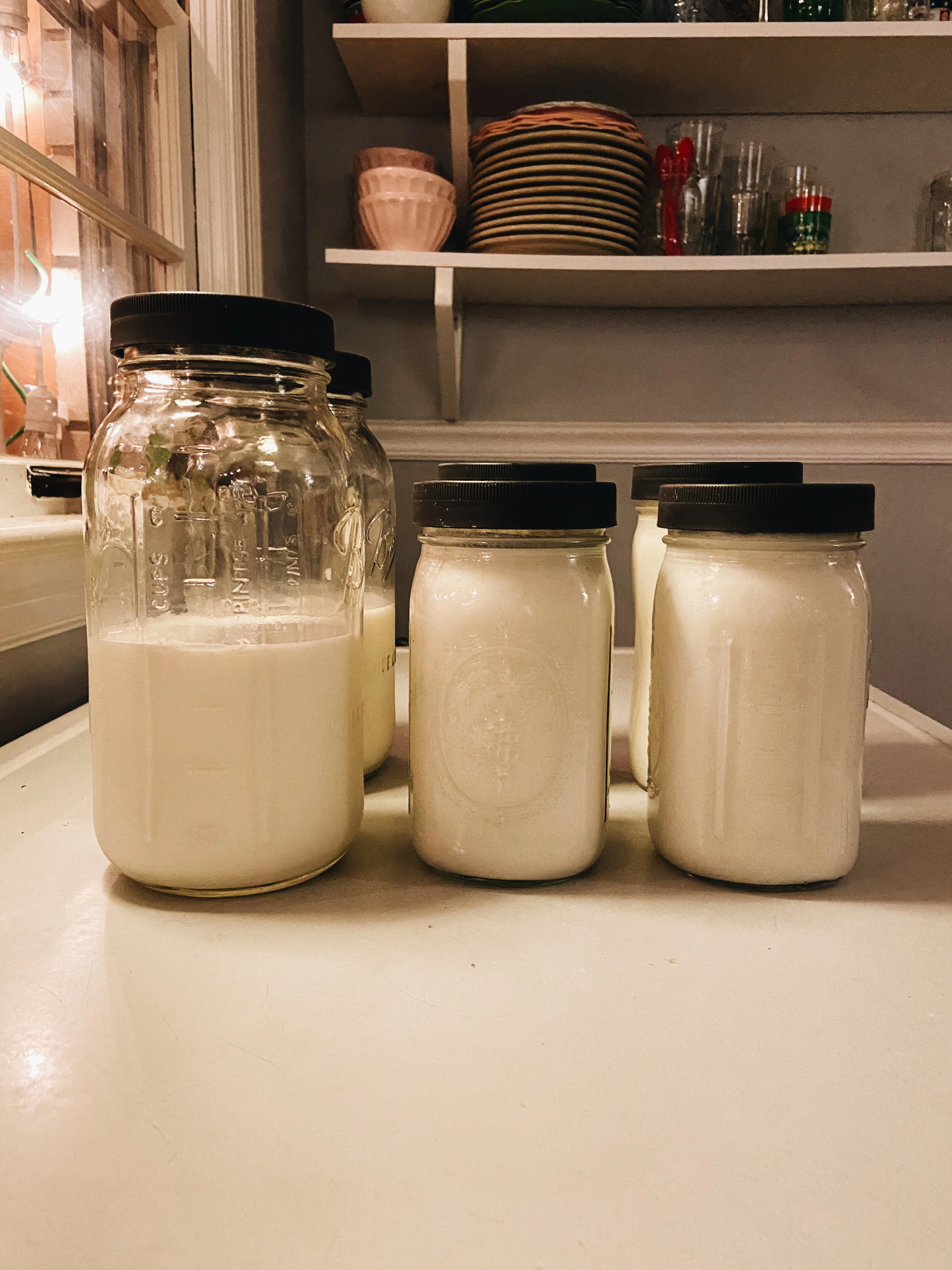 GETTING STARTED WITH KEFIR — JACINTHA PAYNE