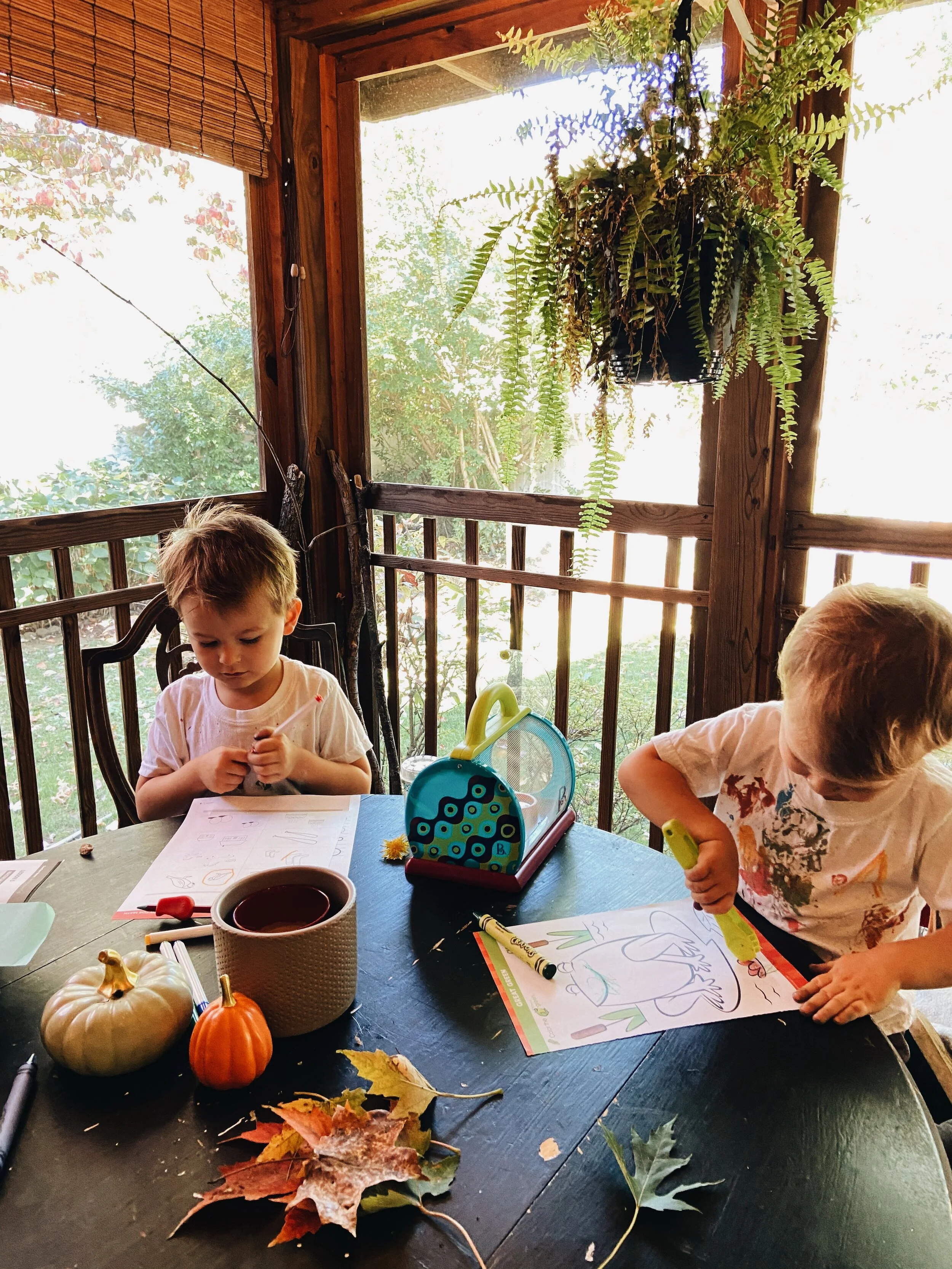 DEVELOPING A RHYTHM FOR LEARNING AT HOME — JACINTHA PAYNE