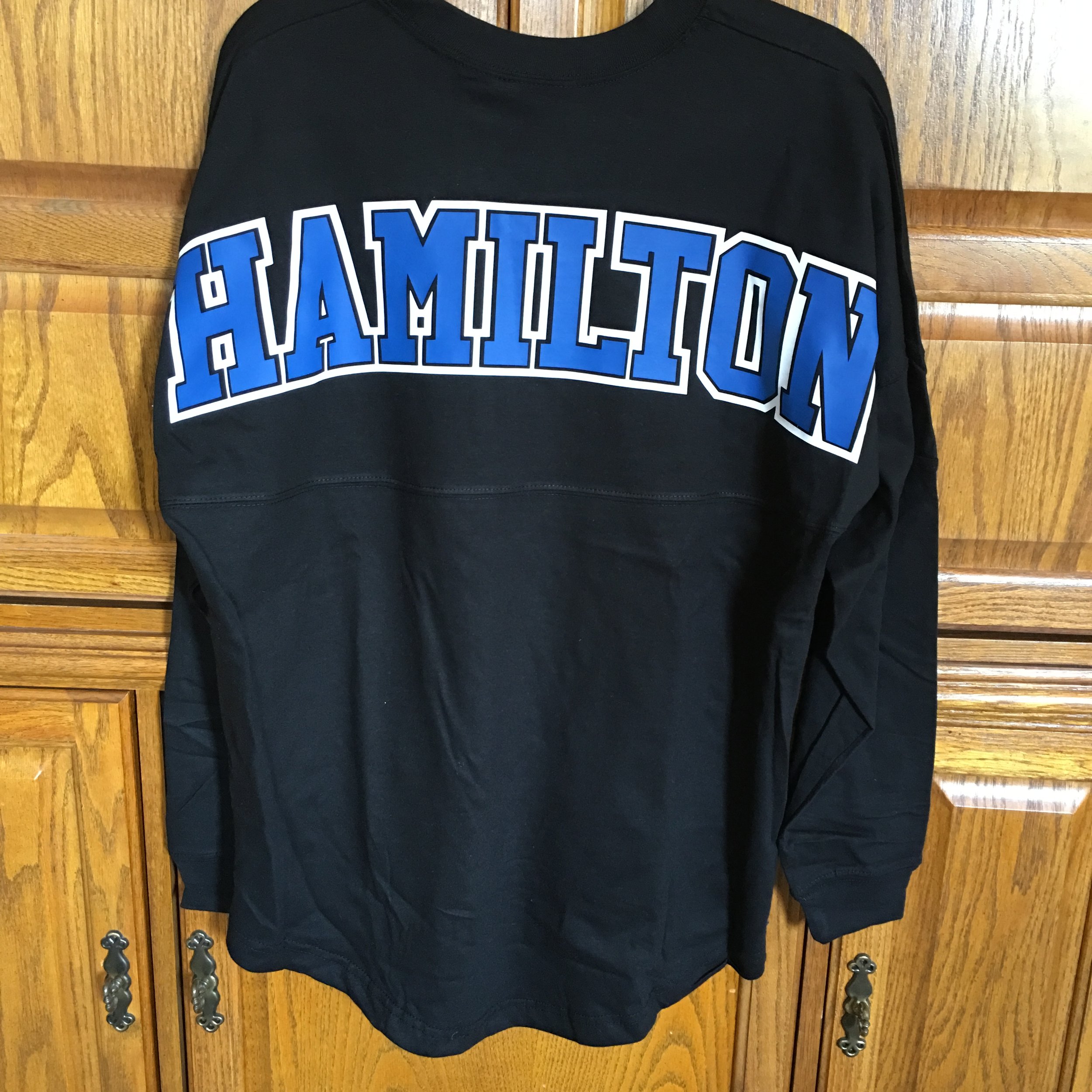 Hamilton City Schools — "where customization has a whole new meaning"